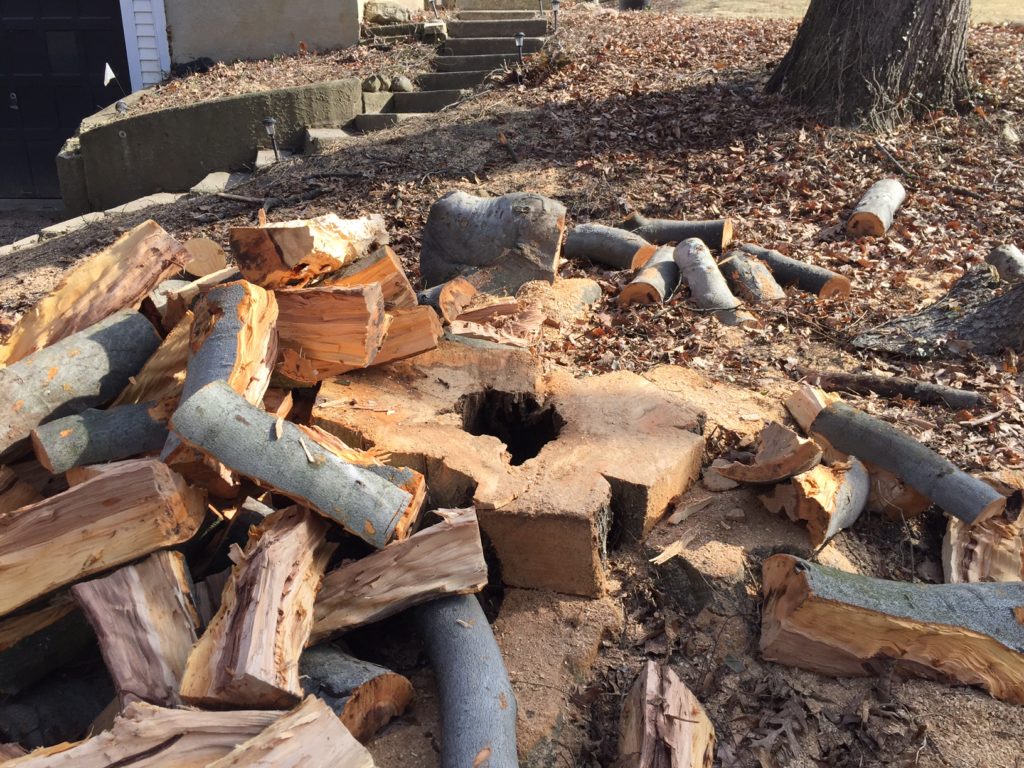 Ask My Totaled Car Why Roots Matter - Jayne Walters